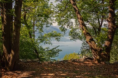 Camping in der Schweiz: Campingplatz online buchen | Nomady